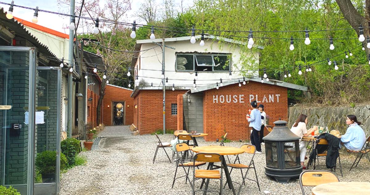 House Plant: Quán quán cà phê mộc mạc, nên thơ ở Hanam, Hàn Quốc - Hanam/Hàn Quốc (Creatrip)