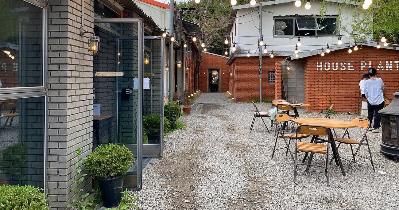 Creatrip: คาเฟ่ฮานัมㅣHouse Plant