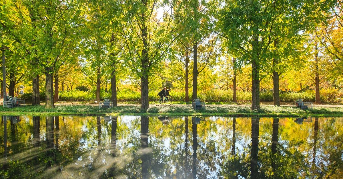 Creatrip: 2023聖水洞/建大行程懶人包-首爾/韓國(旅遊情報)