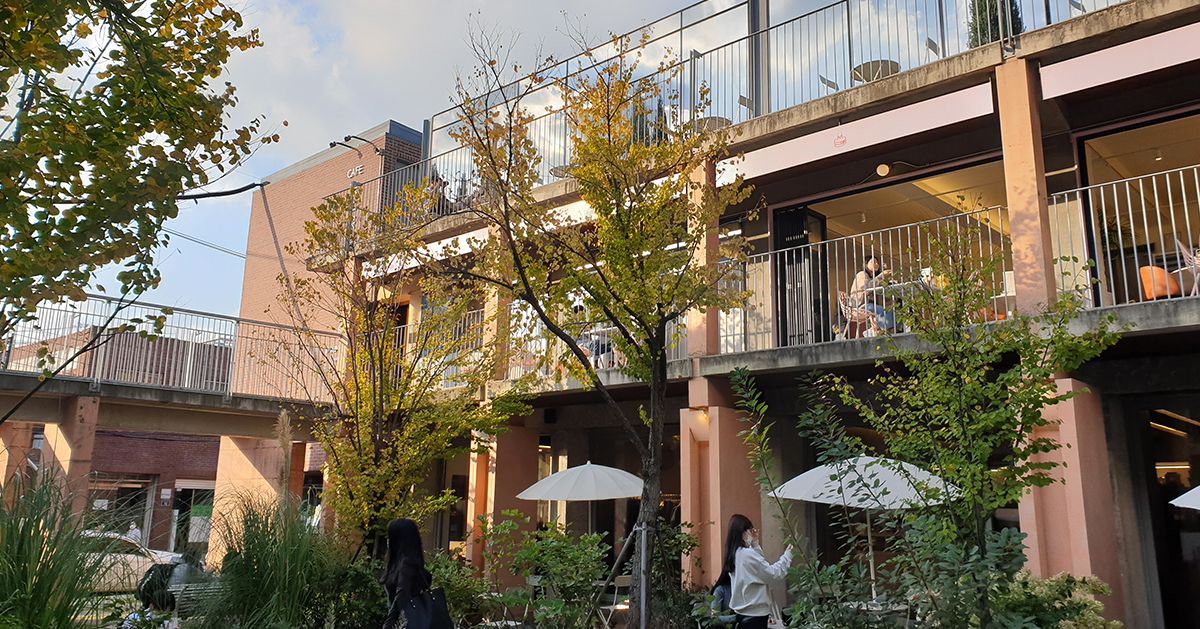 Creatrip: 2023聖水洞/建大購物懶人包-首爾/韓國(旅遊情報)