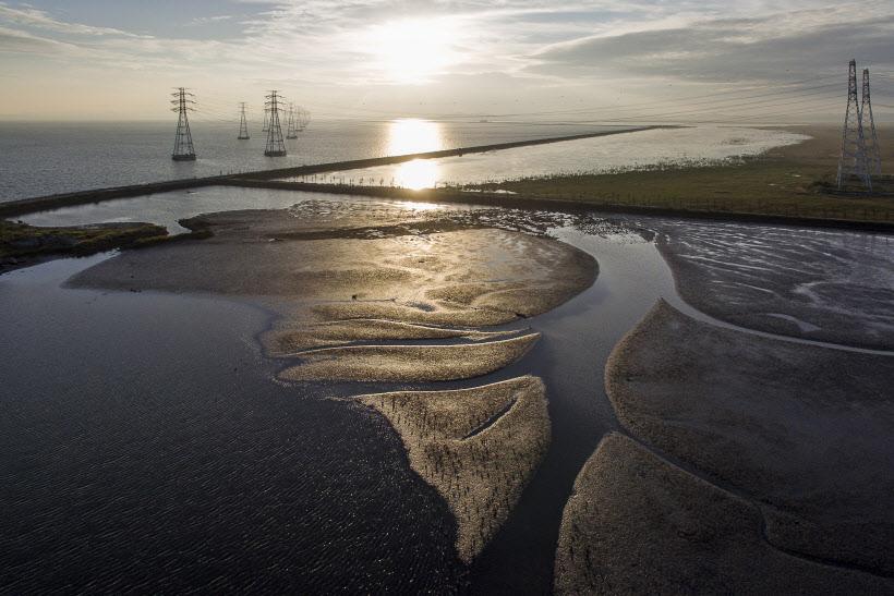 Tour du lịch 3 ngày 2 đêm trải nghiệm bãi bùn đảo Daebu, Gyeonggido ...