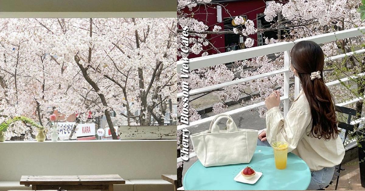Creatrip: 2023首爾賞櫻咖啡廳懶人包-首爾/韓國(旅遊情報)