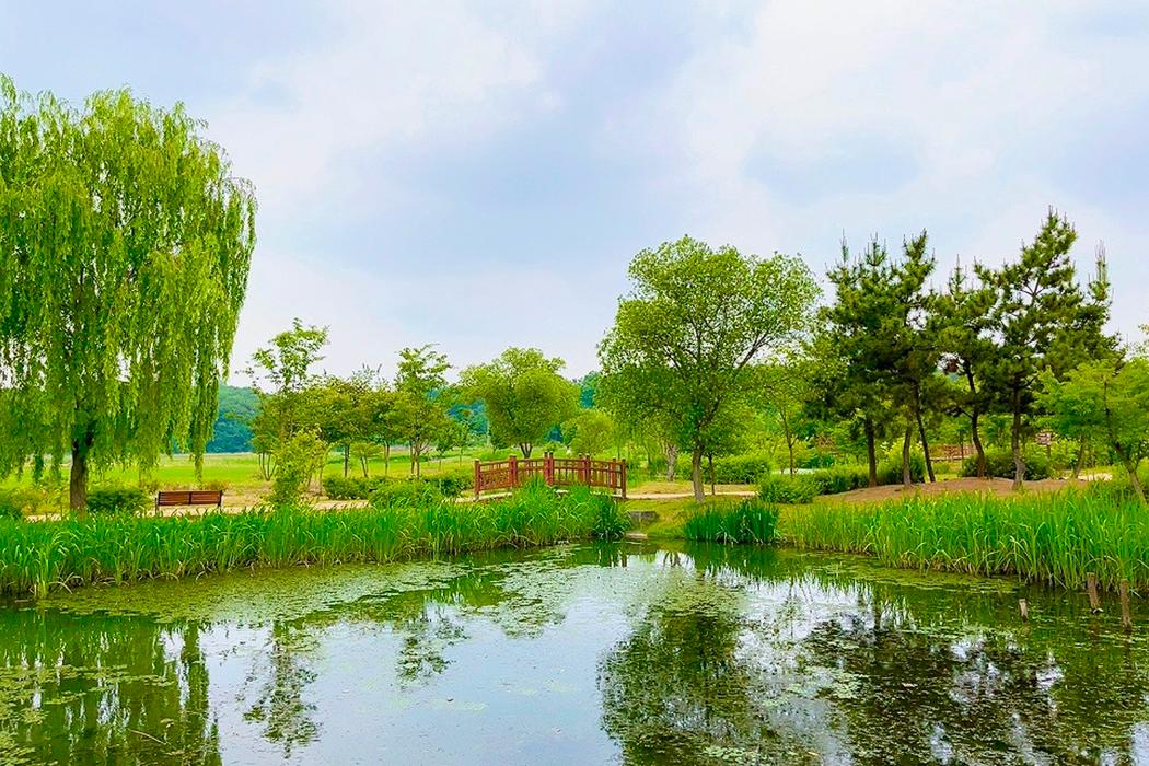 Enjoy A Peaceful Picnic At Yeonhee Nature Garden - Incheon/Korea (Creatrip)