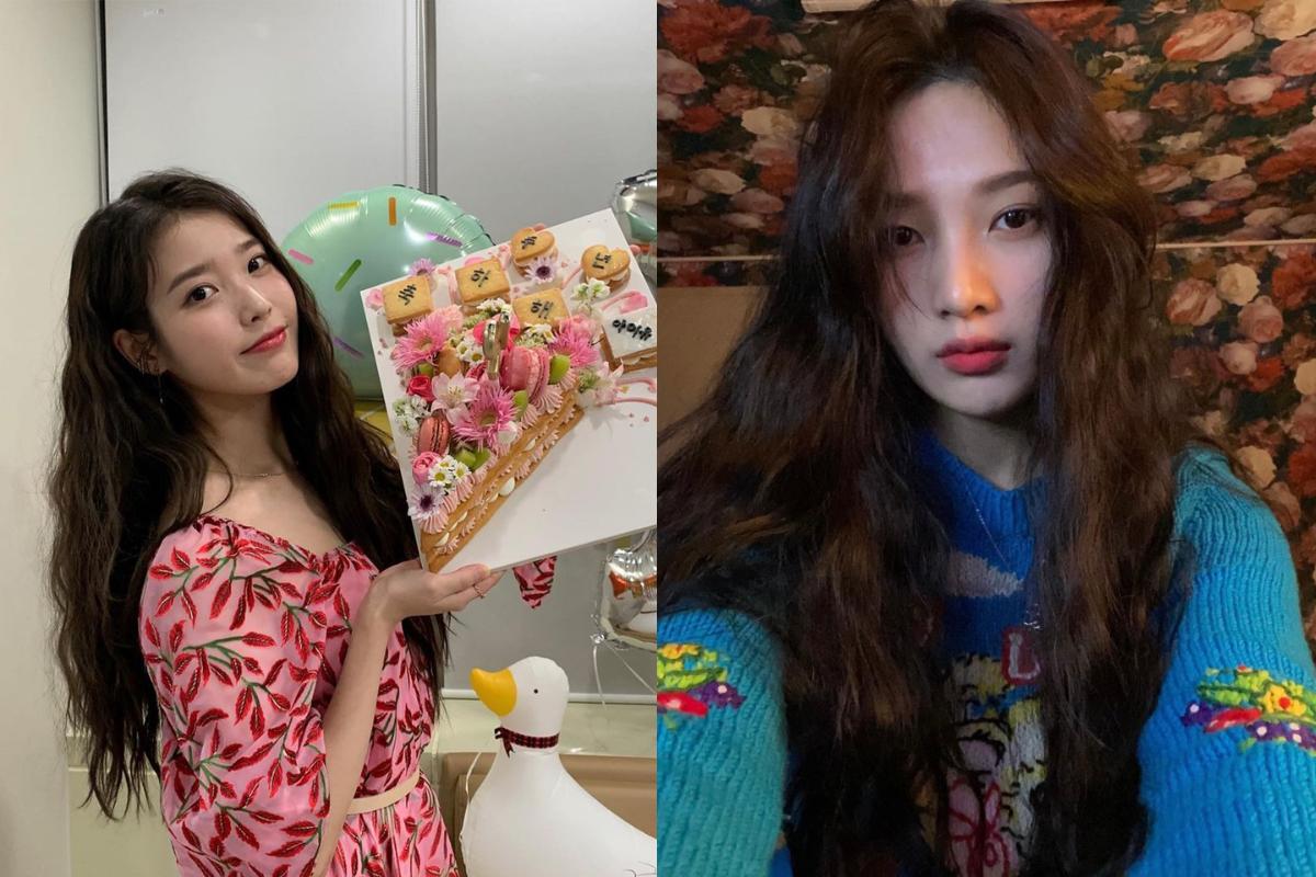 Korean Hairstyle Trends 2026: Best Perms, Cuts & Color for Women in Seoul