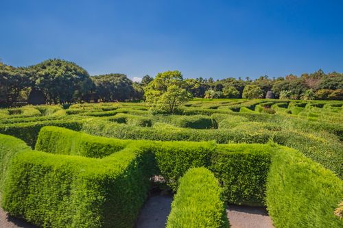 Creatrip: Maze Land Jeju Island - Jeju/Korea (Travel Guide)