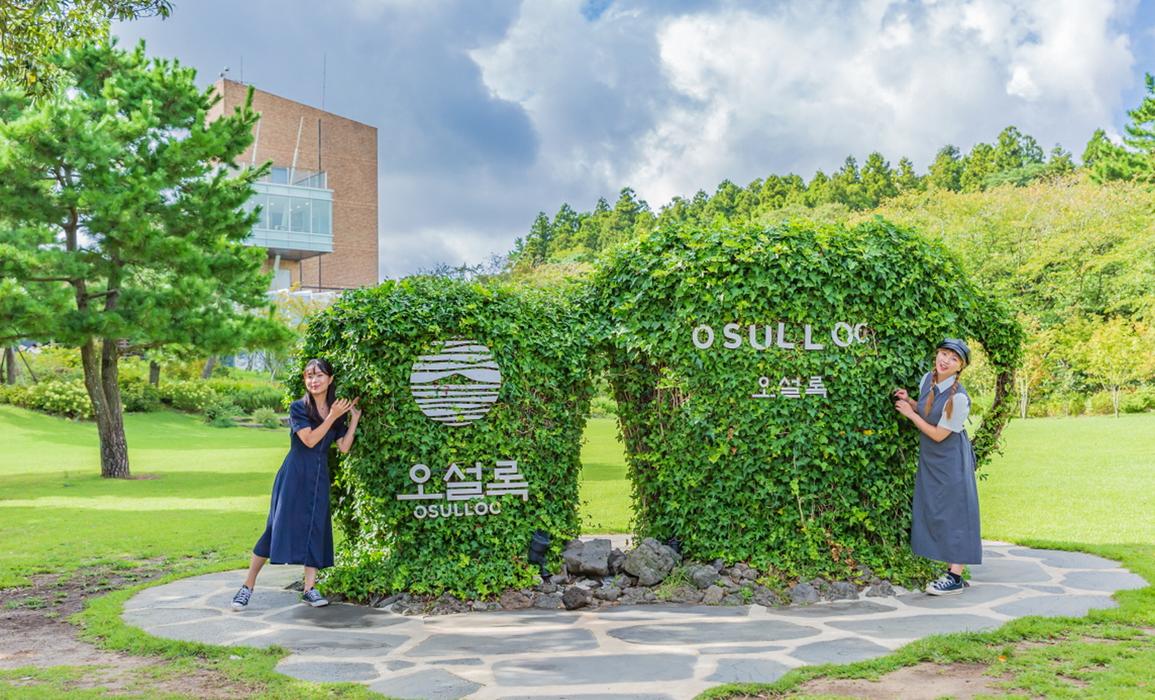 Creatrip: 濟州景點 | O’sulloc茶博物館