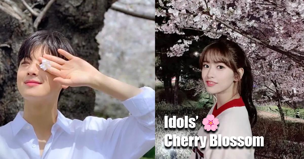 Creatrip: Kpop韓星賞櫻拍照盤點