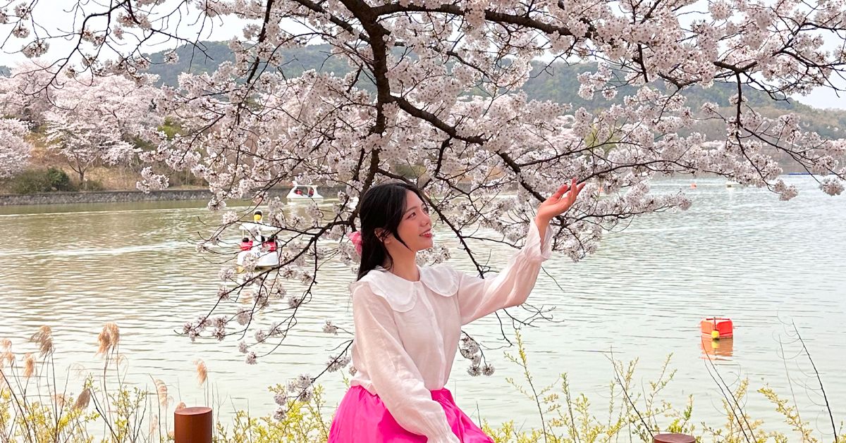 Creatrip: 2024韓國花季總整理-首爾/韓國(旅遊情報)