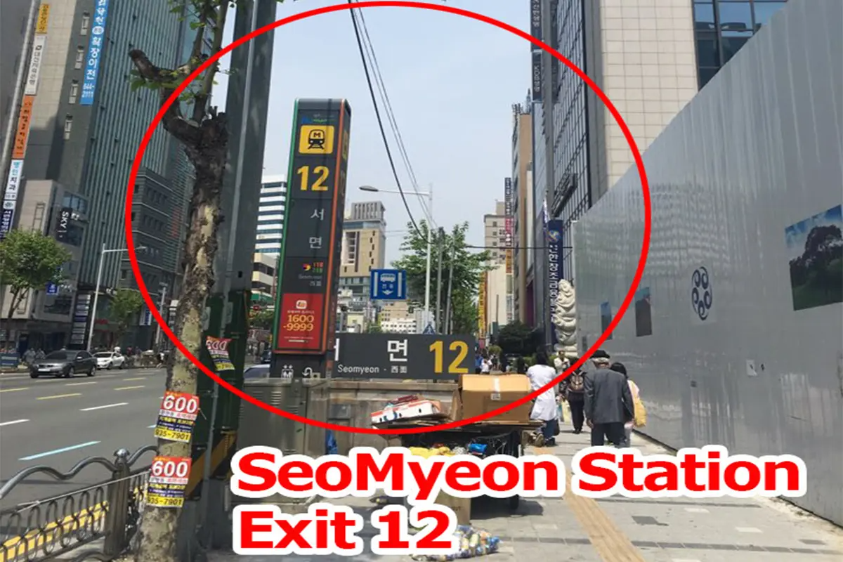 Creatrip: 釜山Kpop一日遊推薦/預訂