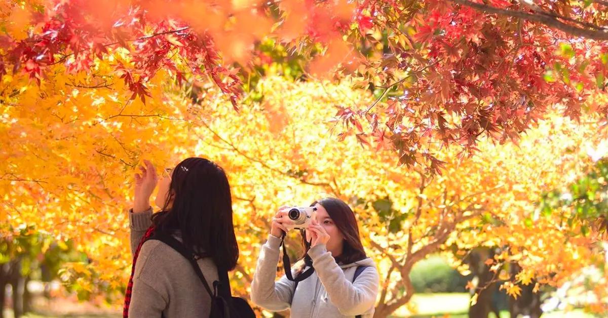 11 Must-Visit Fall Foliage Spots in Korea | 2024 Fall Korea Travel ...