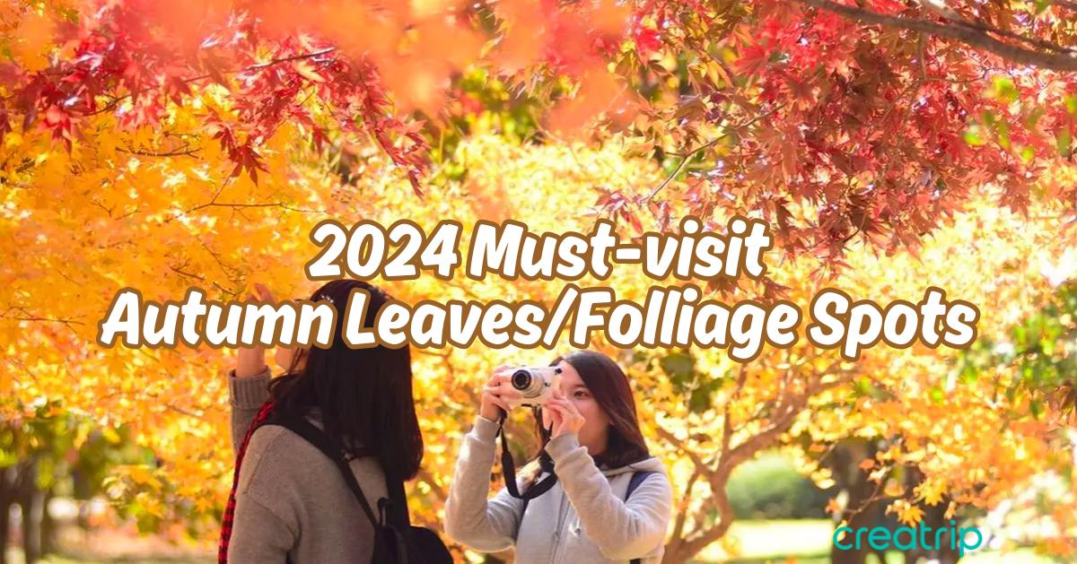 Creatrip: 2024韓國賞紅葉攻略