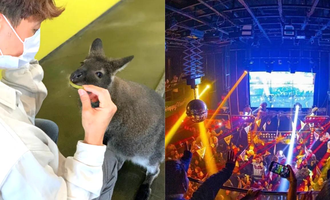 Tổng hợp các trải nghiệm thú vị ở Hongdae, Seoul bạn không nên bỏ lỡ ...