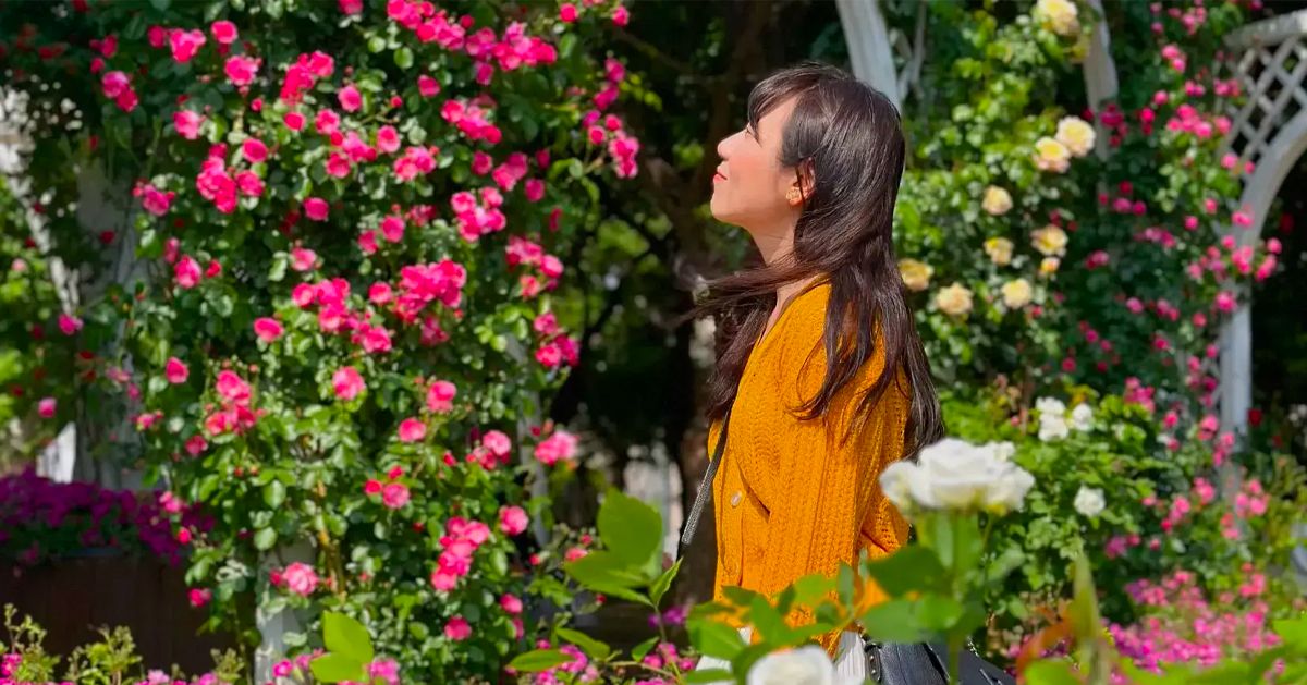 Creatrip: 2024首爾玫瑰花季景點/慶典整理-首爾/韓國(旅遊情報)