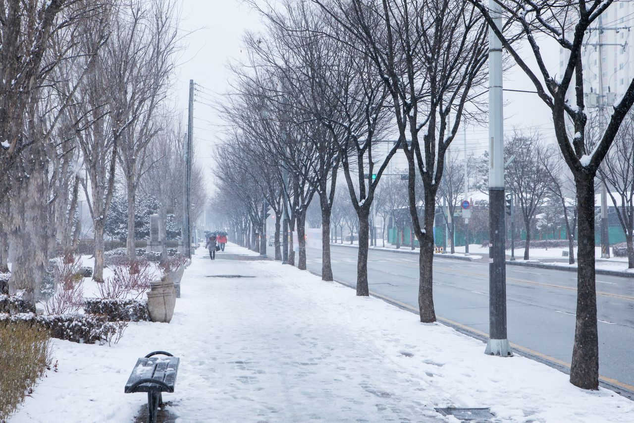 Creatrip | News | First Snowfall of Korea 2019
