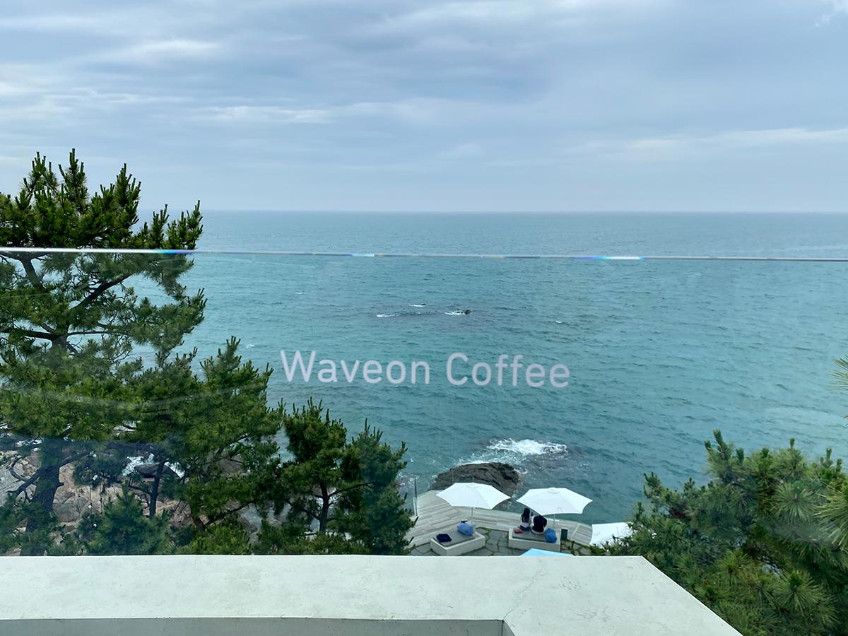 Creatrip: WAVEON COFFEE | Busan Oceanview Rooftop Cafe & Award-winning ...