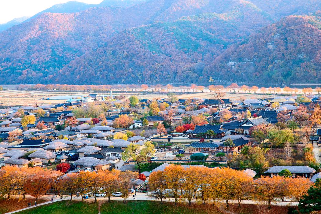 You Belong In Andong | More About The City - Andong/Korea (Creatrip)