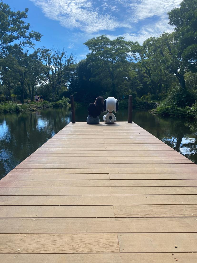 Creatrip: 韓国留学生必見！国民健康保険の加入義務化と医療制度の完全ガイド