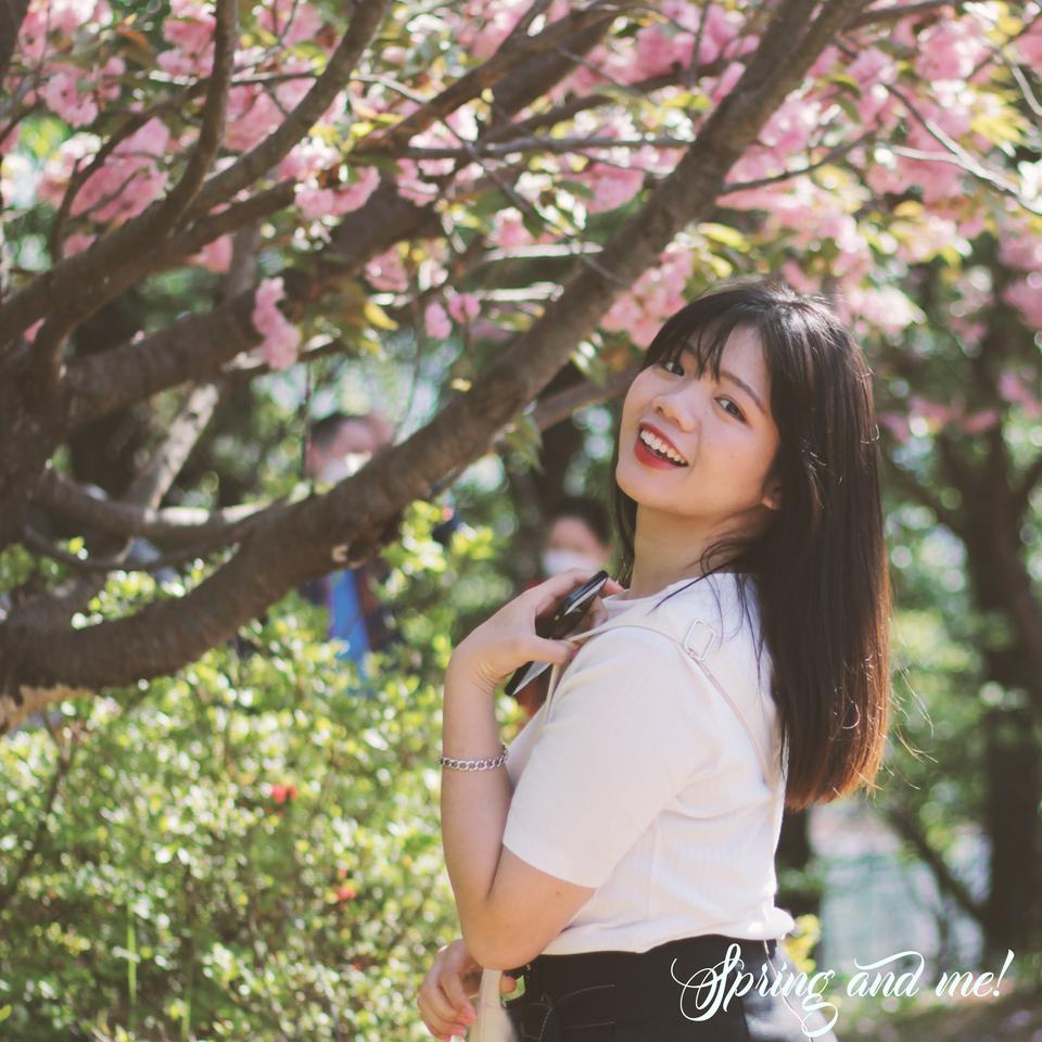 Creatrip: Korean Birth Flowers | Which Flower Corresponds To Your ...