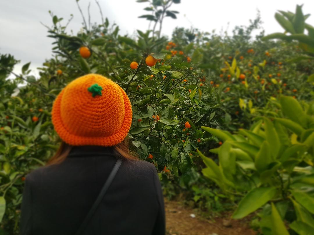 Ghibli Studio Themed Cafe in Seoul: Dotori Garden | Anguk Cafe Review - Seoul/Korea (Creatrip)