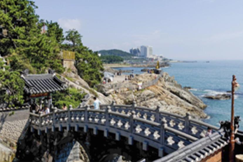 Creatrip: 2023 Busan One Asia Festival (BOF) VIP Tickets + Busan Tour