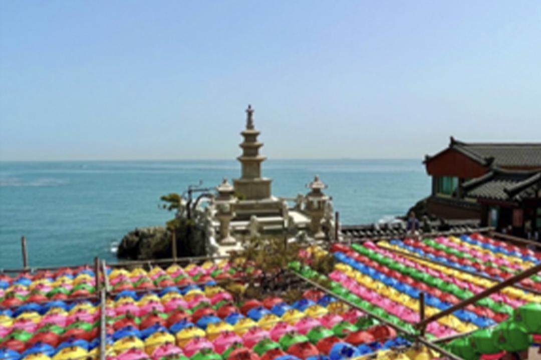 Creatrip: 2023 Busan One Asia Festival (BOF) VIP Tickets + Busan Tour - Busan/Korea (Travel ...