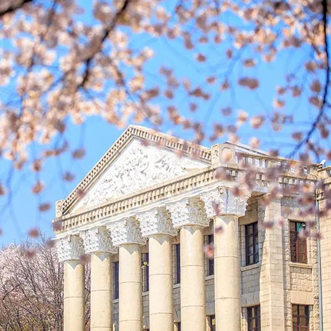 Simple Tuition Payments: Creatrip at Kyung Hee University