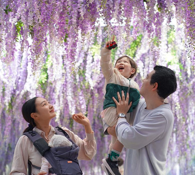 Nami Island + Gapyeong Begonia Bird Park Day Tour | Seoul Departure - Gapyeong/Korea (Creatrip)