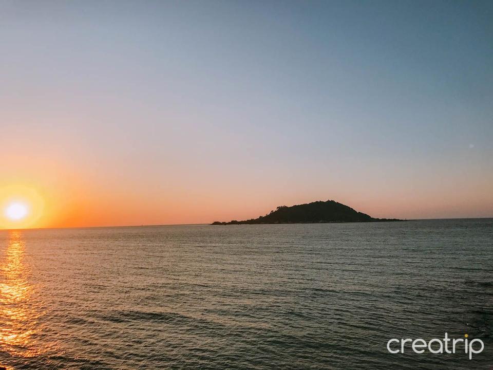 Creatrip: Cafe Comma - Jeju/Korea (Travel Reservation)