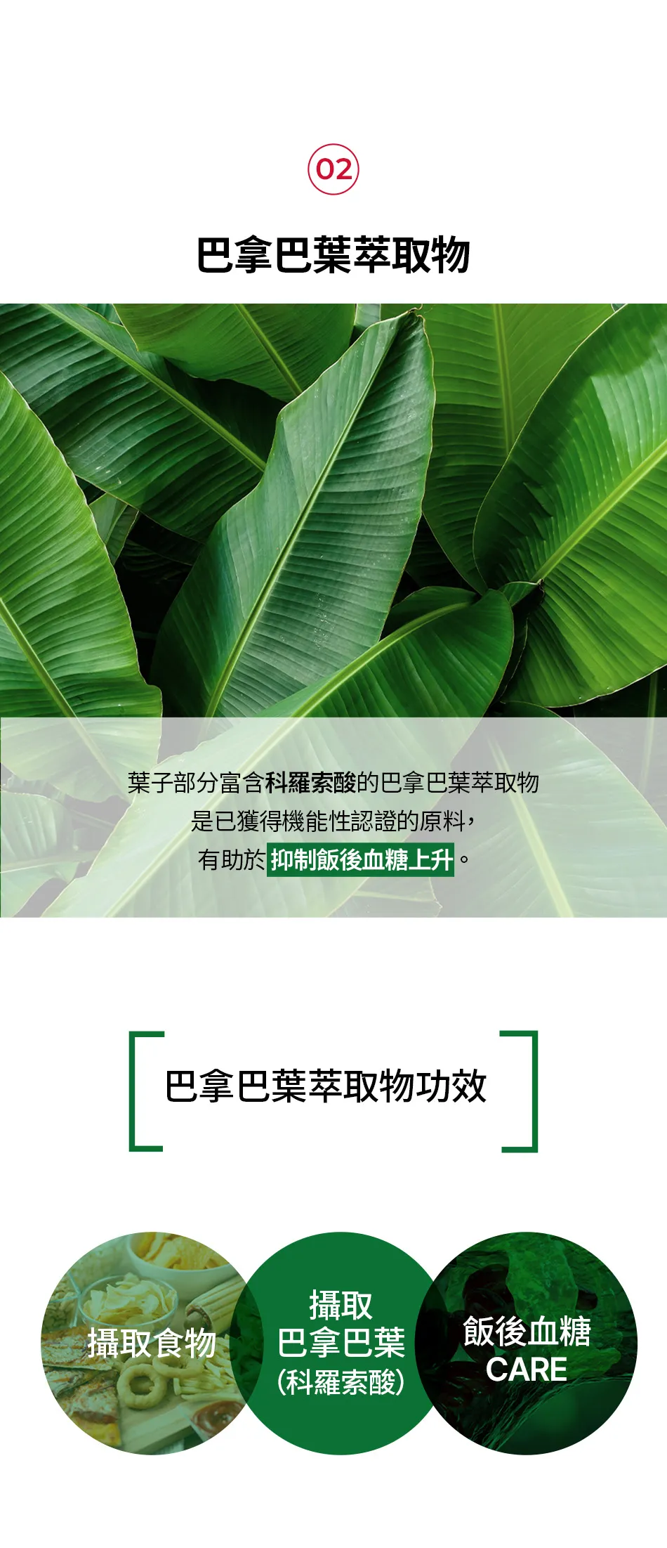 FOODOLOGY Coleology 10日雙效減脂濃縮液（3盒入） (Creatrip)