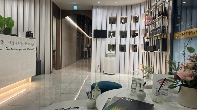 Creatrip: Head Spa Experience in GangnamㅣMoclock Gangnam Main Branch - Seoul/Korea (Korea Travel)